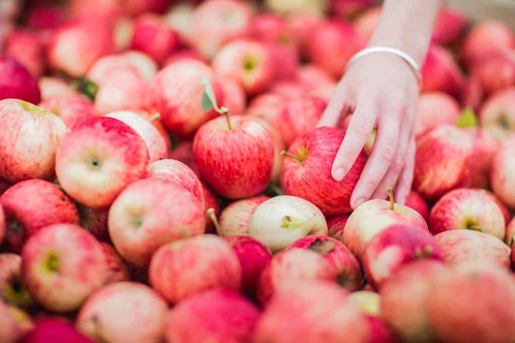 Technical Services | Fruition Horticulture