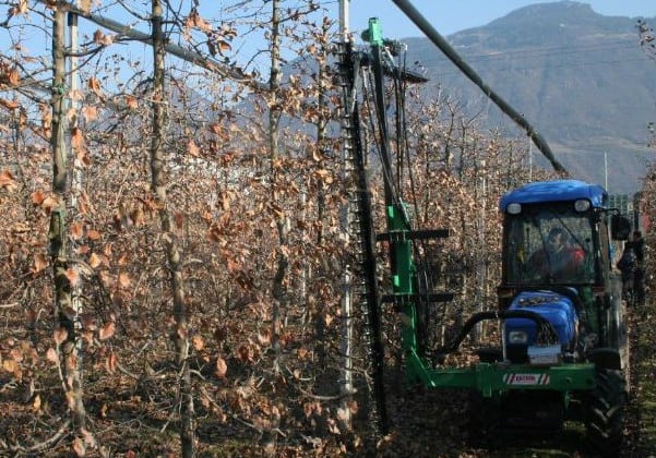 Orchard Robots and Mechanisation – Recent trends and developments ...