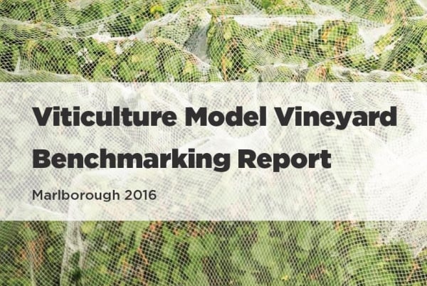Viticulture Model Vineyard Benchmarking Report | Fruition Horticulture