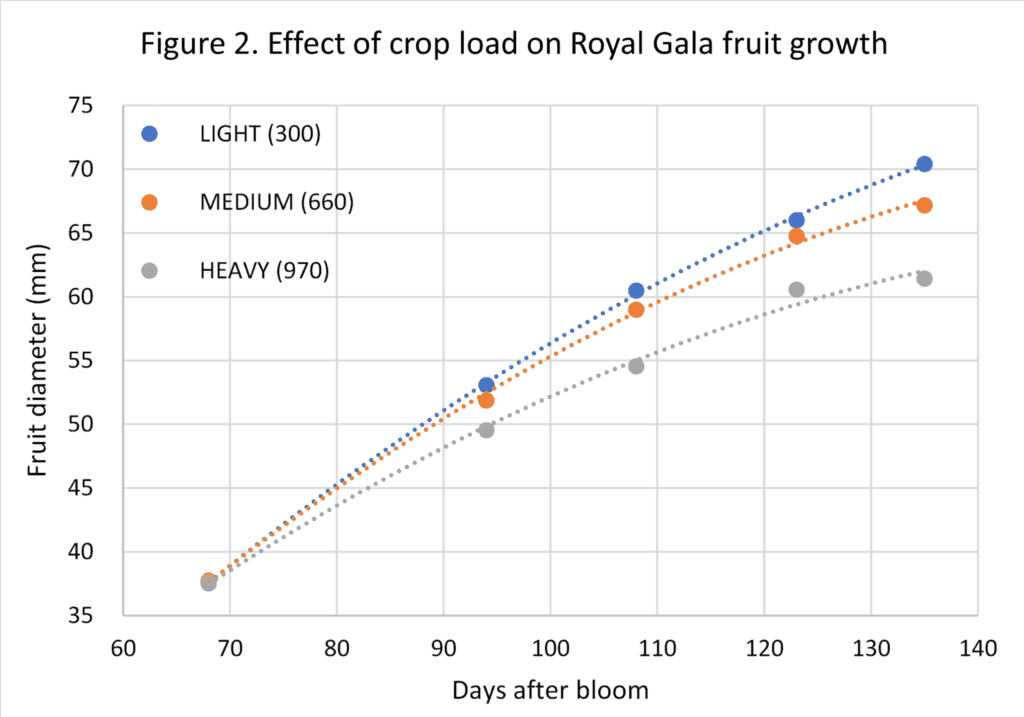 What influences Royal Gala fruit size, maturity and quality? | Fruition ...